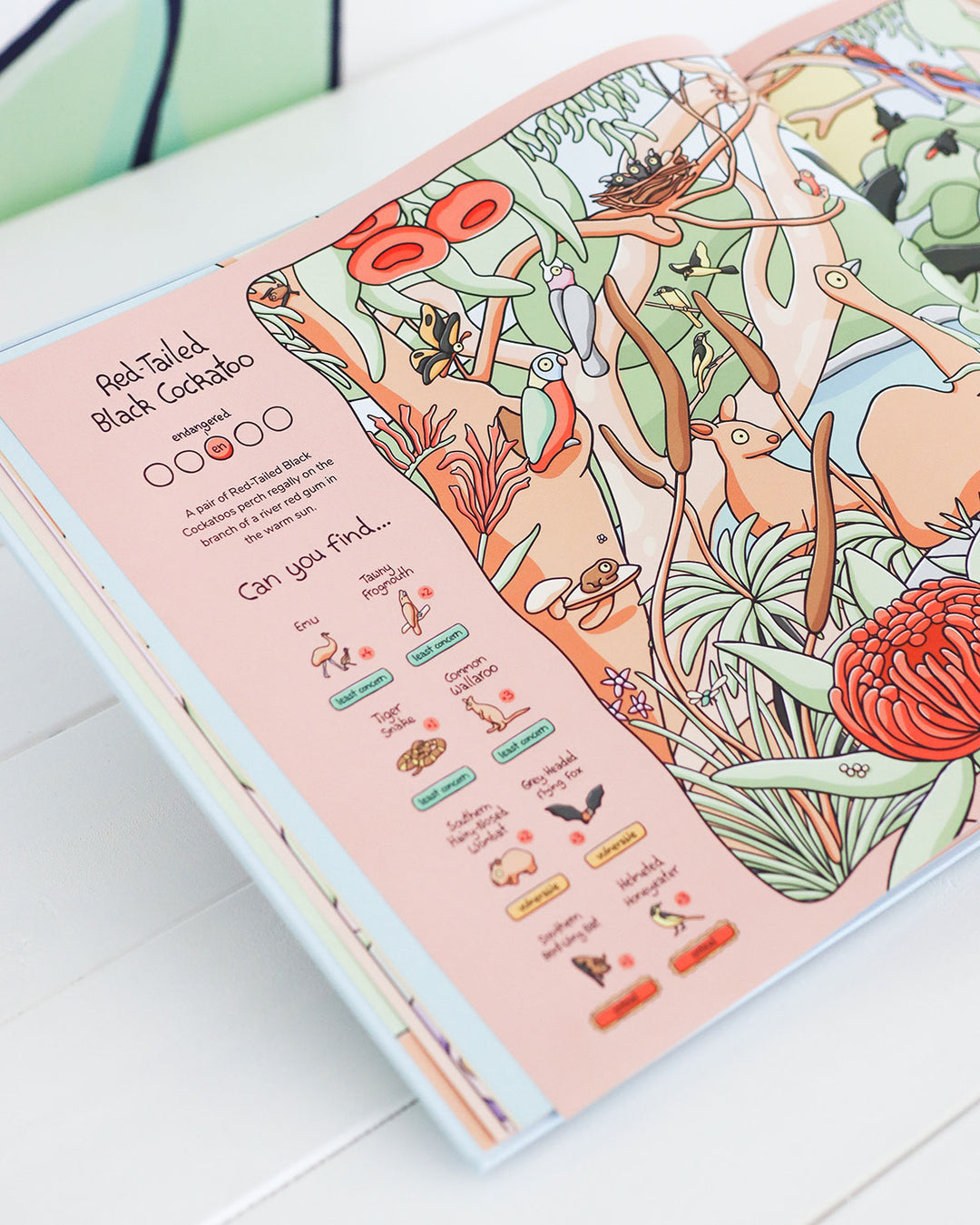 Australian Animals From Beach to Bush book - Brentos