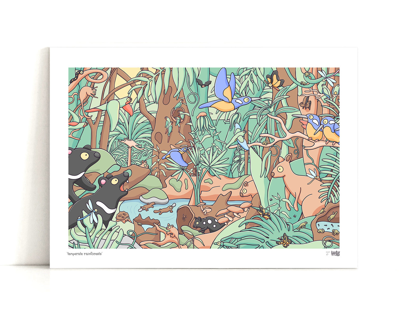 Temperate Rainforests Art Print from Australian Animals Book - Brentos