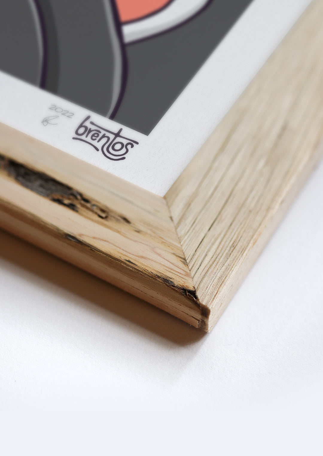 Red Belly Black Snake Catcher Art Print - Brentos